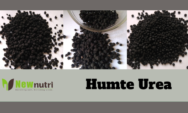 25% Nitrogen 10% Humic Acid Coated Urea Fertilizer